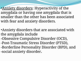 amygdala its structure and function and stuff | PPTX
