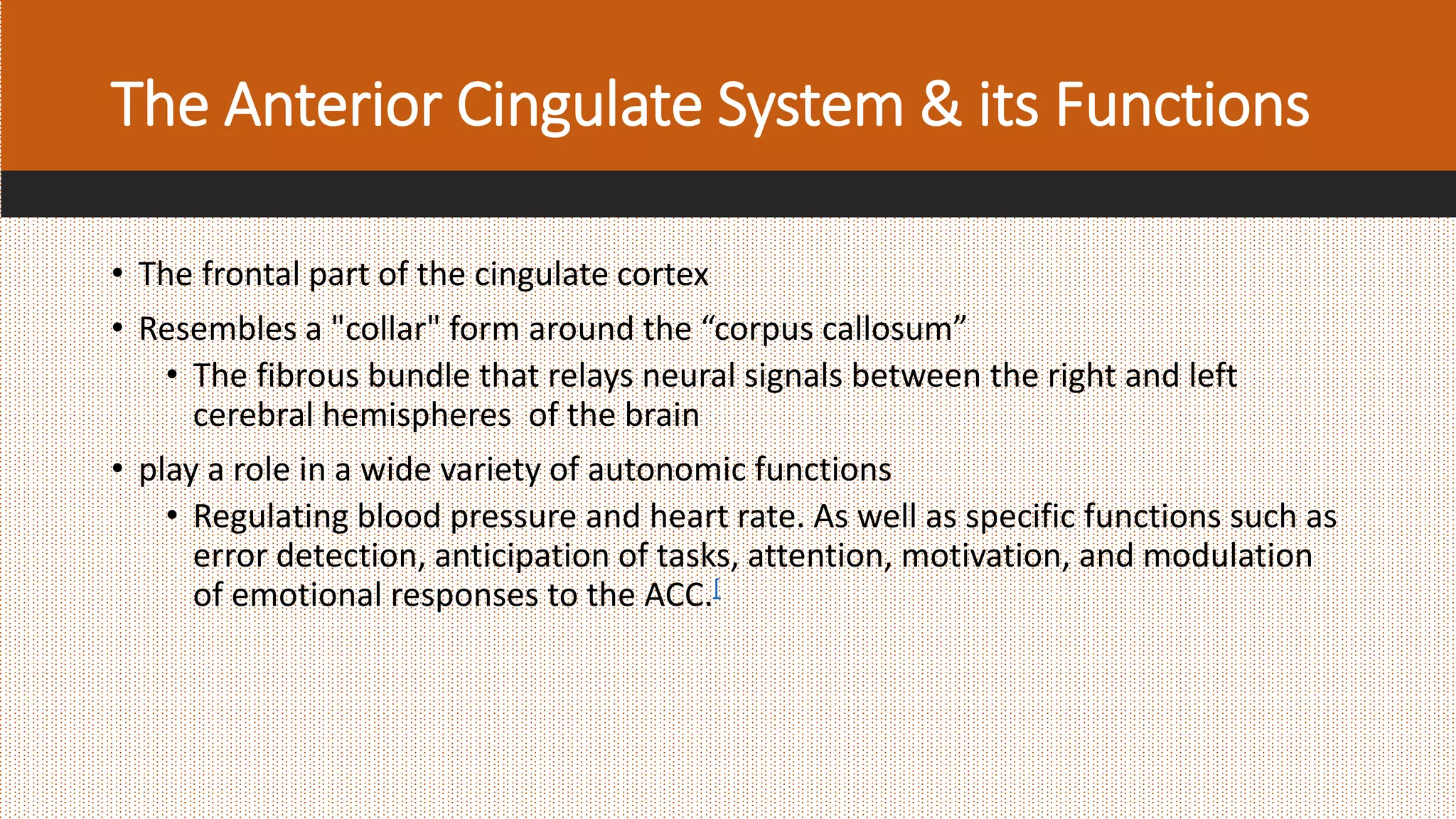 Amygdala & The Anterior Cingulate System | PPTX