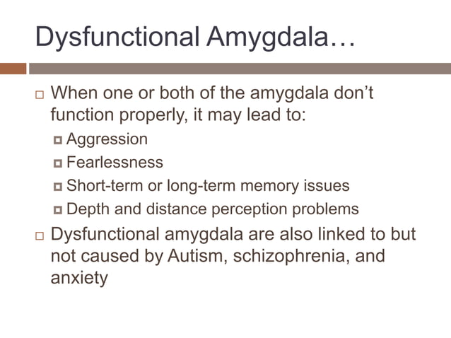 Amygdala Presentation | PPTX