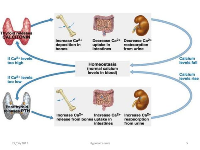 Hypocalcaemia | PPT
