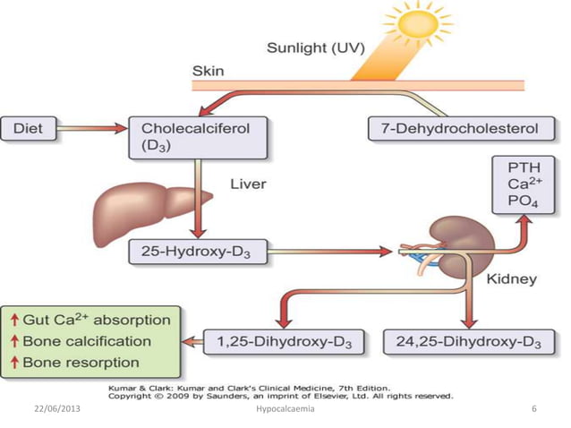 Hypocalcaemia | PPT