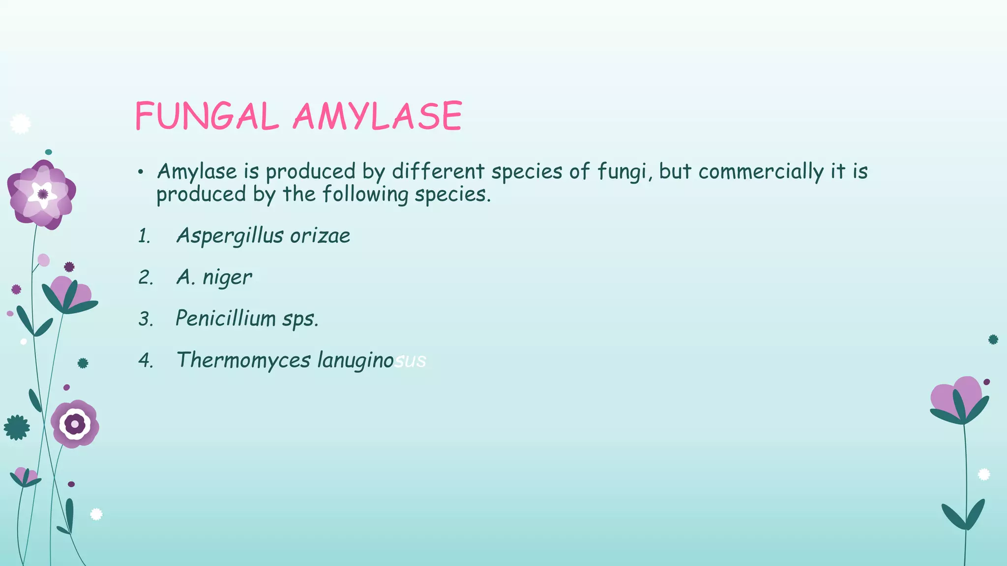 Amylase (enzyme) - sources & its applications | PPTX