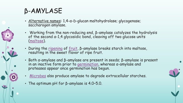 Amylase (enzyme) - sources & its applications | PPTX | Digestive ...