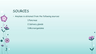 Amylase (enzyme) - sources & its applications | PPTX