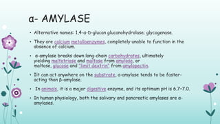 Amylase (enzyme) - sources & its applications | PPT