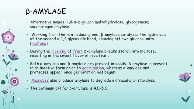 Amylase (enzyme) - sources & its applications