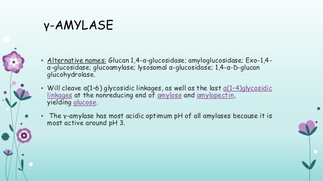 Amylase (enzyme) - sources & its applications