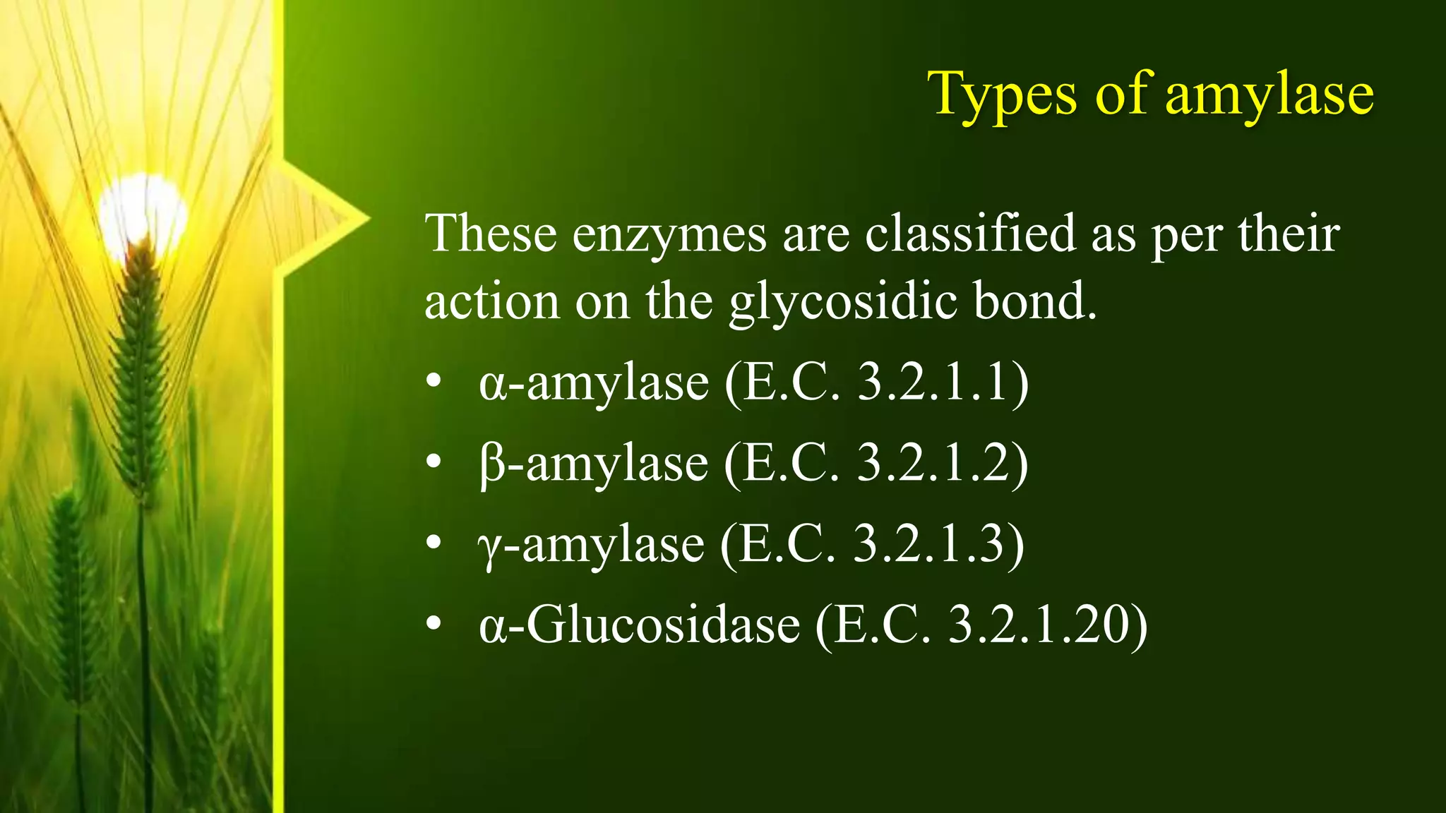Amylase (Production and application0 | PPTX