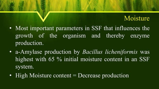 Amylase (Production and application0 | PPTX | Chemistry | Science