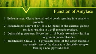 Amylase (Production and application0 | PPTX