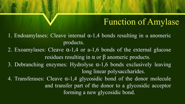 Amylase (Production and application0 | PPTX | Chemistry | Science