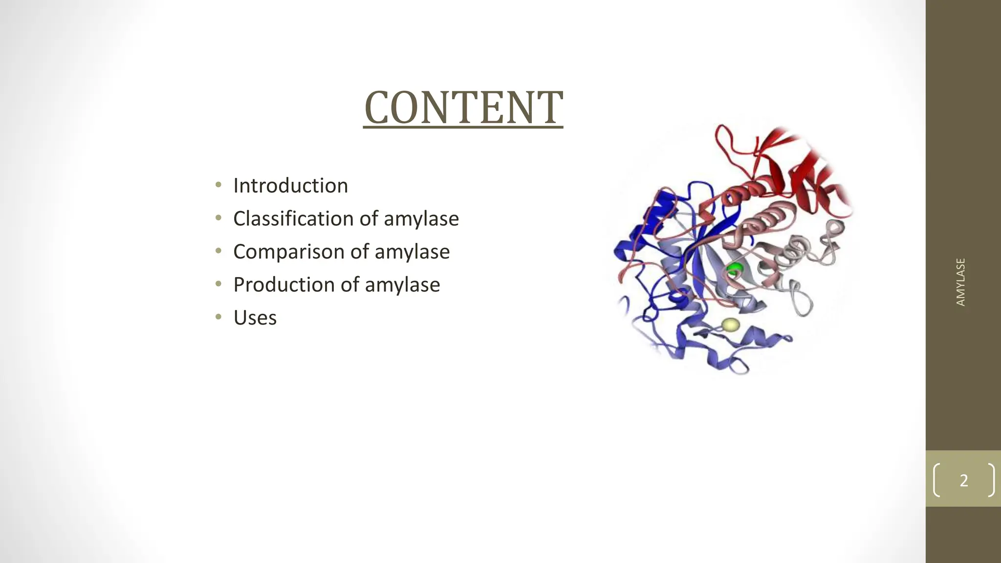 AMYLASE..............................pptx