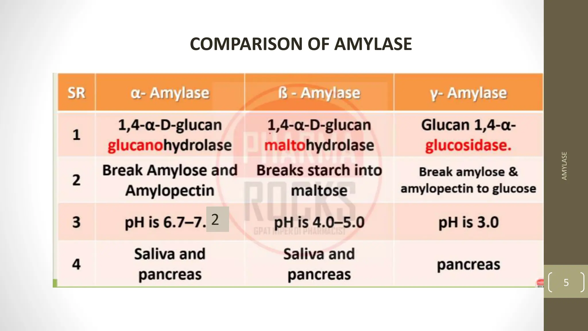 AMYLASE..............................pptx