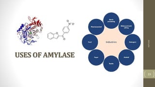 AMYLASE..............................pptx