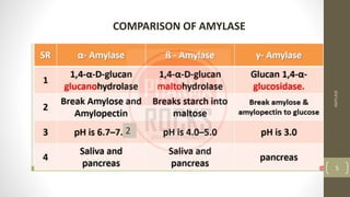 AMYLASE..............................pptx