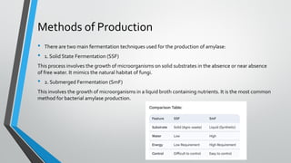 PRODUCTIN OF AMYLASE AND THEIR STRUCTURE | PDF