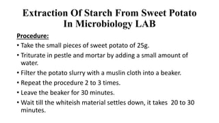 (Amylase) Bacteria-1.pptx