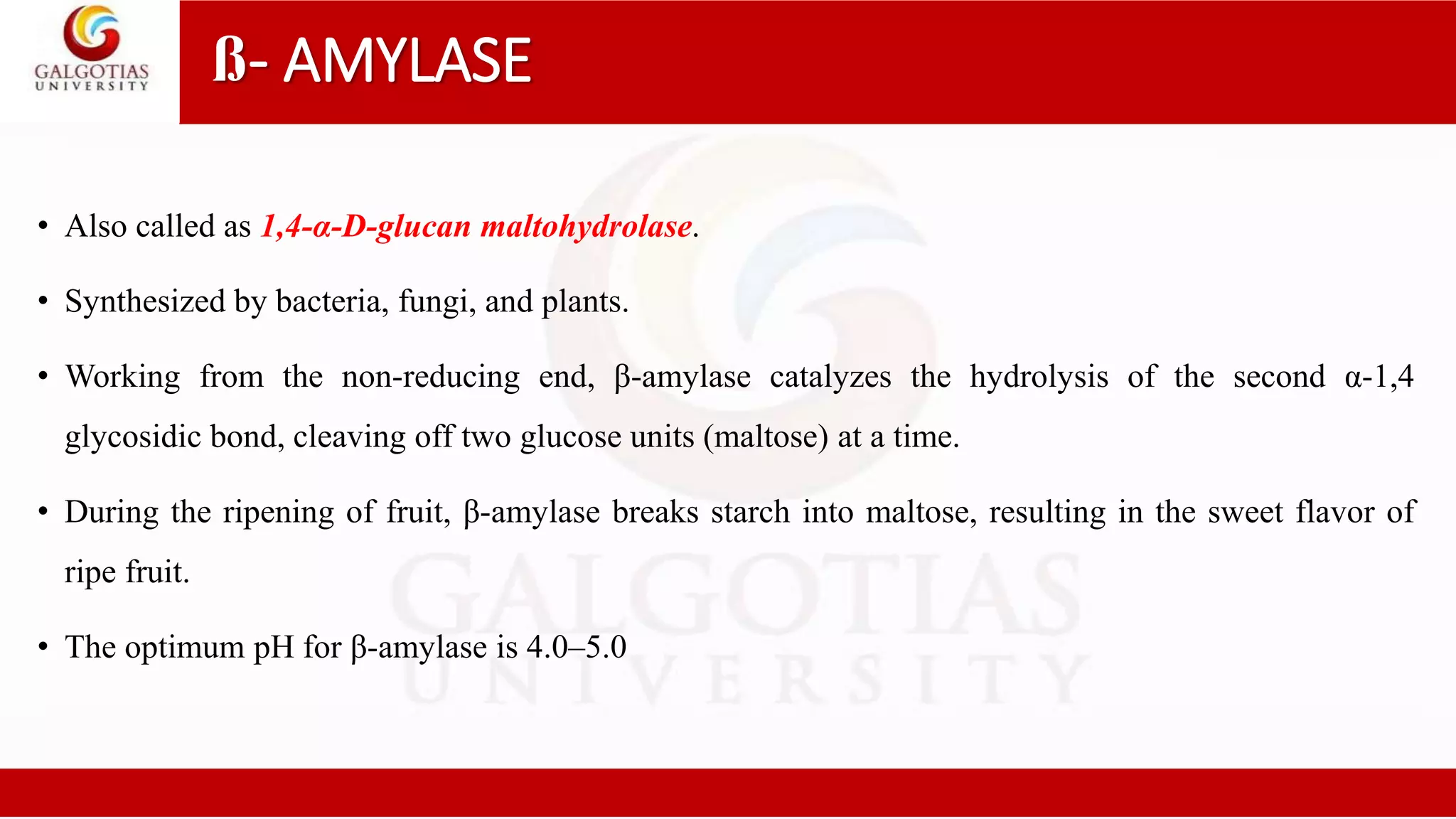 AMYLASE (M).pptx