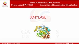 AMYLASE (M).pptx