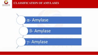 AMYLASE (M).pptx