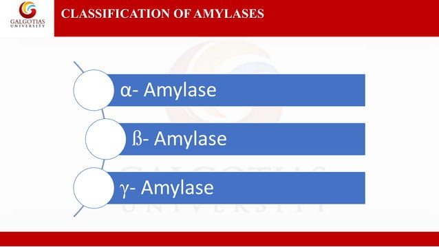 AMYLASE (M).pptx