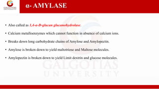 AMYLASE (M).pptx