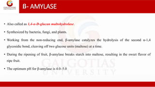 AMYLASE (M).pptx
