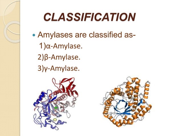 Amylase ppt | PPTX | Chemistry | Science