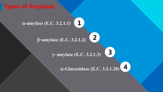 Amylase productin | PPTX