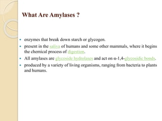 Amylase production | PPTX