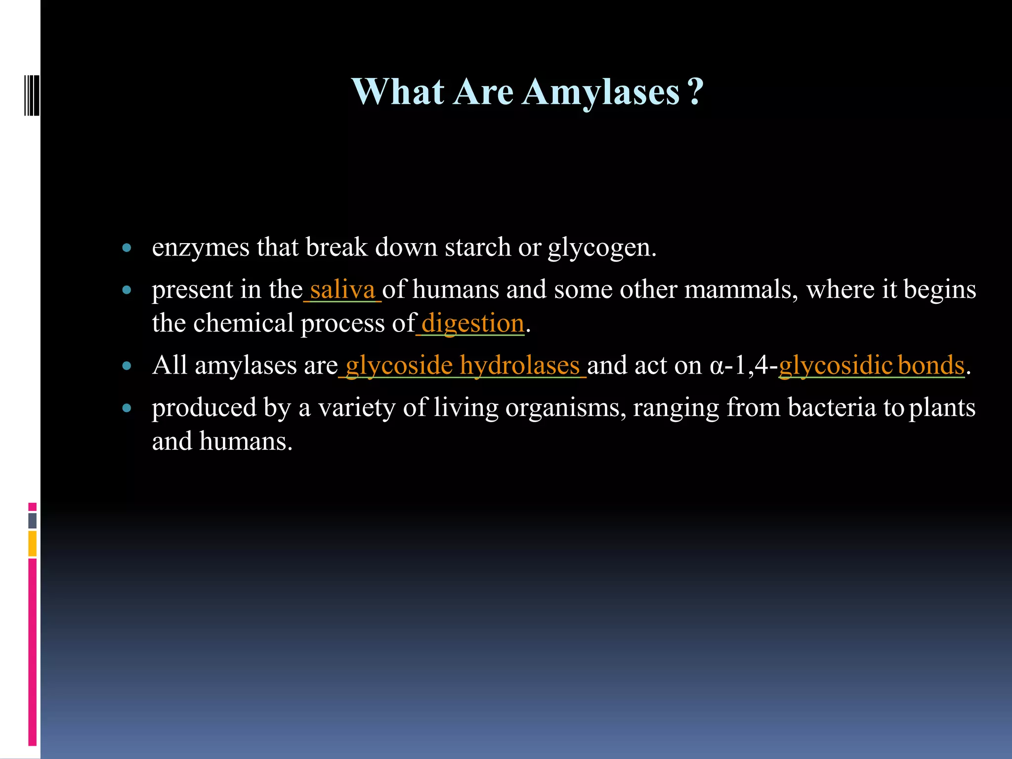 Amylaseproduction ppt | PPTX