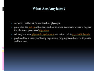 Amylaseproduction ppt | PPT