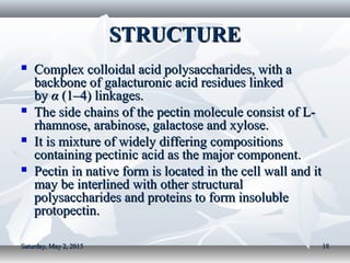 Amylases and pectinases | PPT