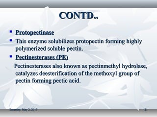 Amylases and pectinases | PPT | Desserts and Baking | Food & Drink