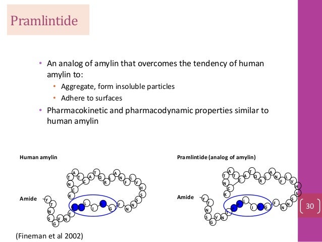 Amylin Mechanism Of Action