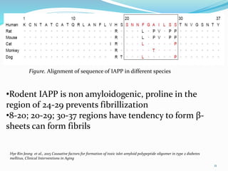 Amylin aggregation in type2 diabetes | PPTX