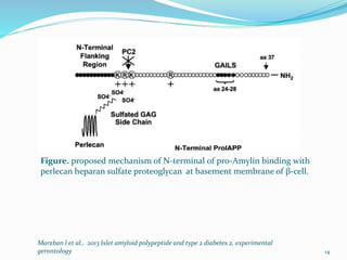 Amylin aggregation in type2 diabetes | PPTX