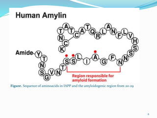 Amylin aggregation in type2 diabetes | PPTX