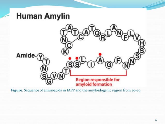 Amylin aggregation in type2 diabetes | PPTX | Endocrine and Metabolic ...