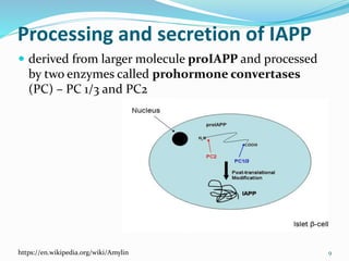 Amylin aggregation in type2 diabetes | PPTX
