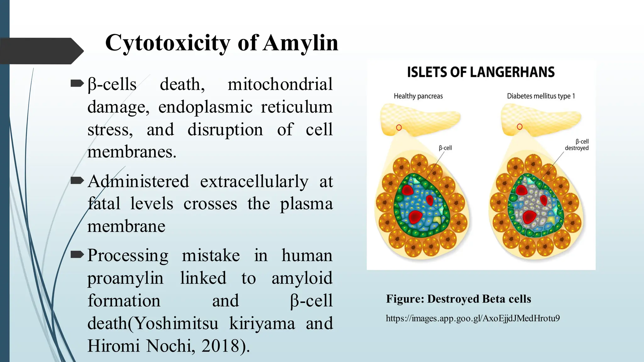 Amylin Hormone.pdf