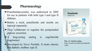 Amylin Hormone.pdf
