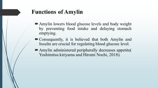Amylin Hormone.pdf