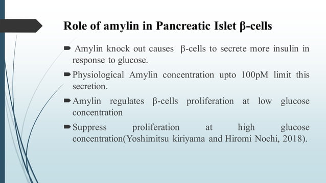 Amylin Hormone.pdf