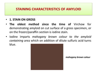 Amyloidoisis | PPTX