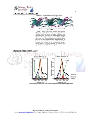 Amyloidosis | PDF