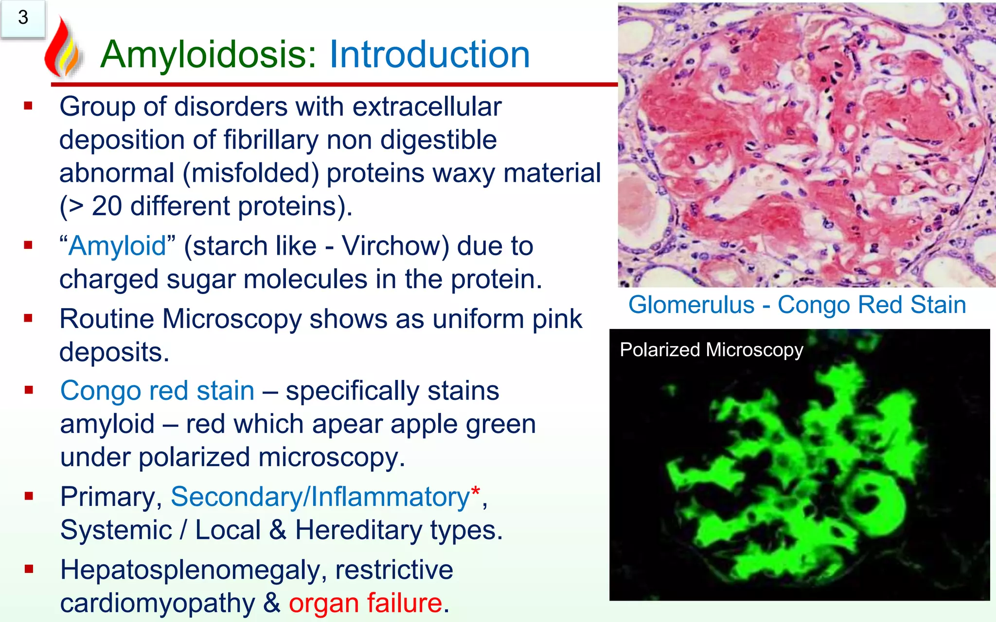 Amyloidosis | PPTX