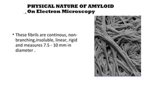 amyloidosis 2.pdf