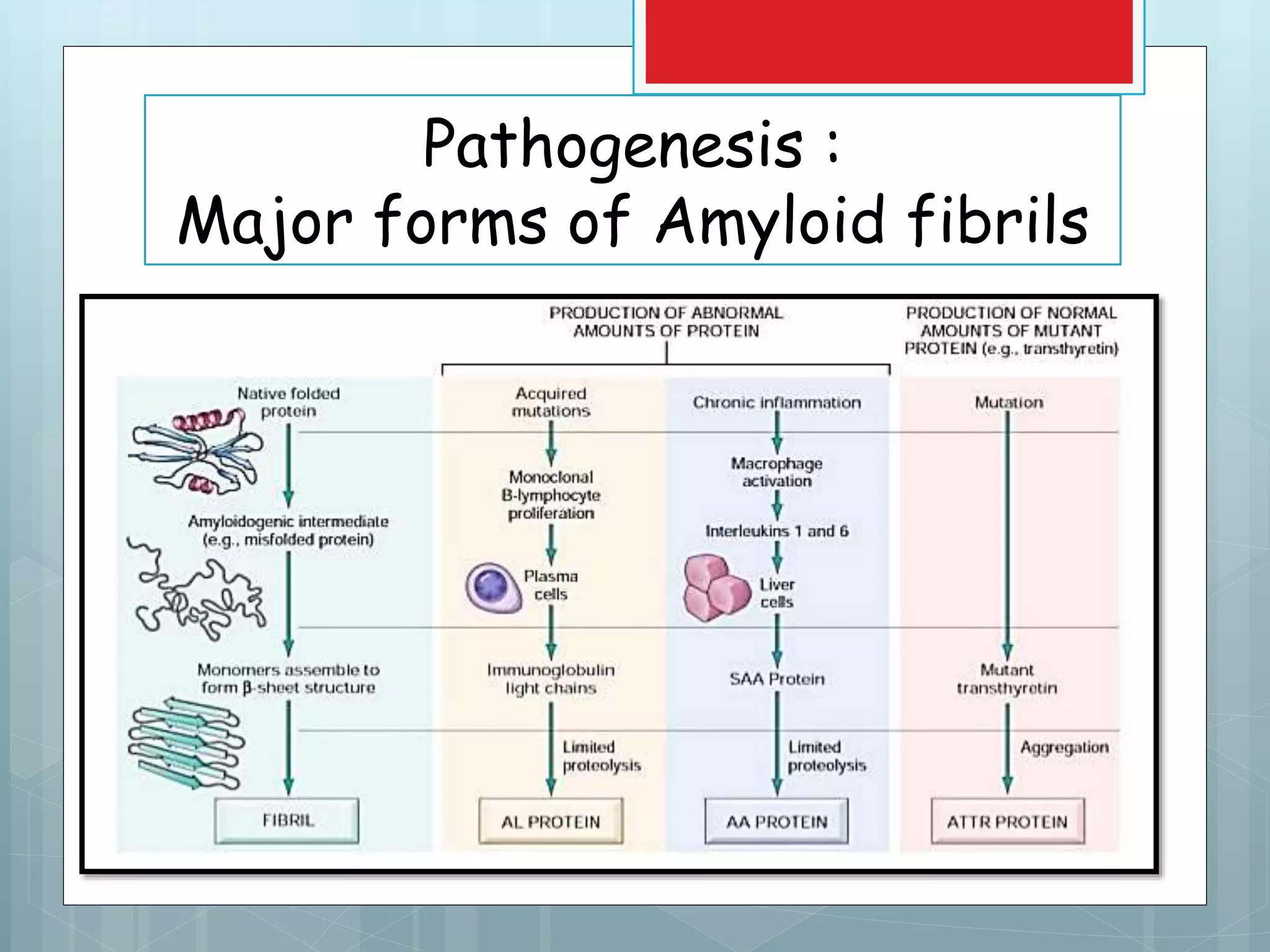 AMYLOIDOSIS | PPTX