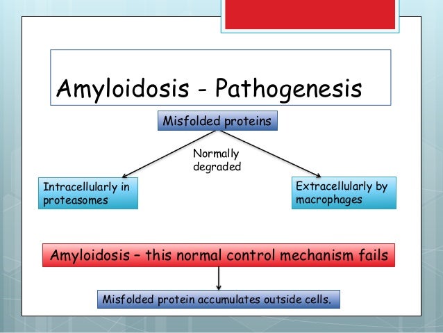 AMYLOIDOSIS